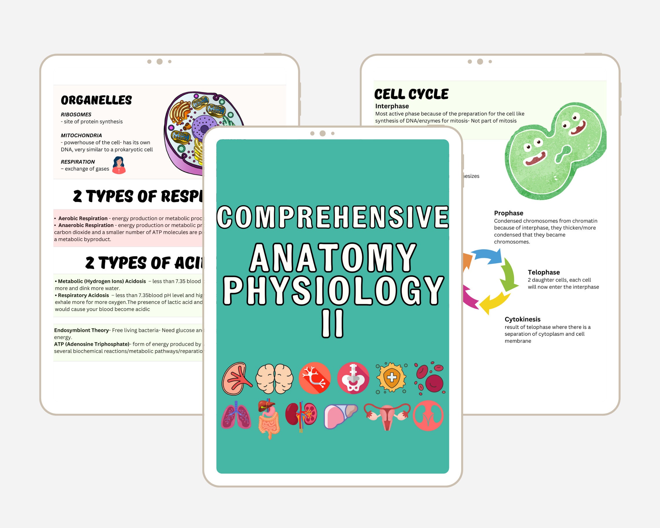 Complete Anatomy Physiology I & II 160 Pages, Anatomy Study Guide ...