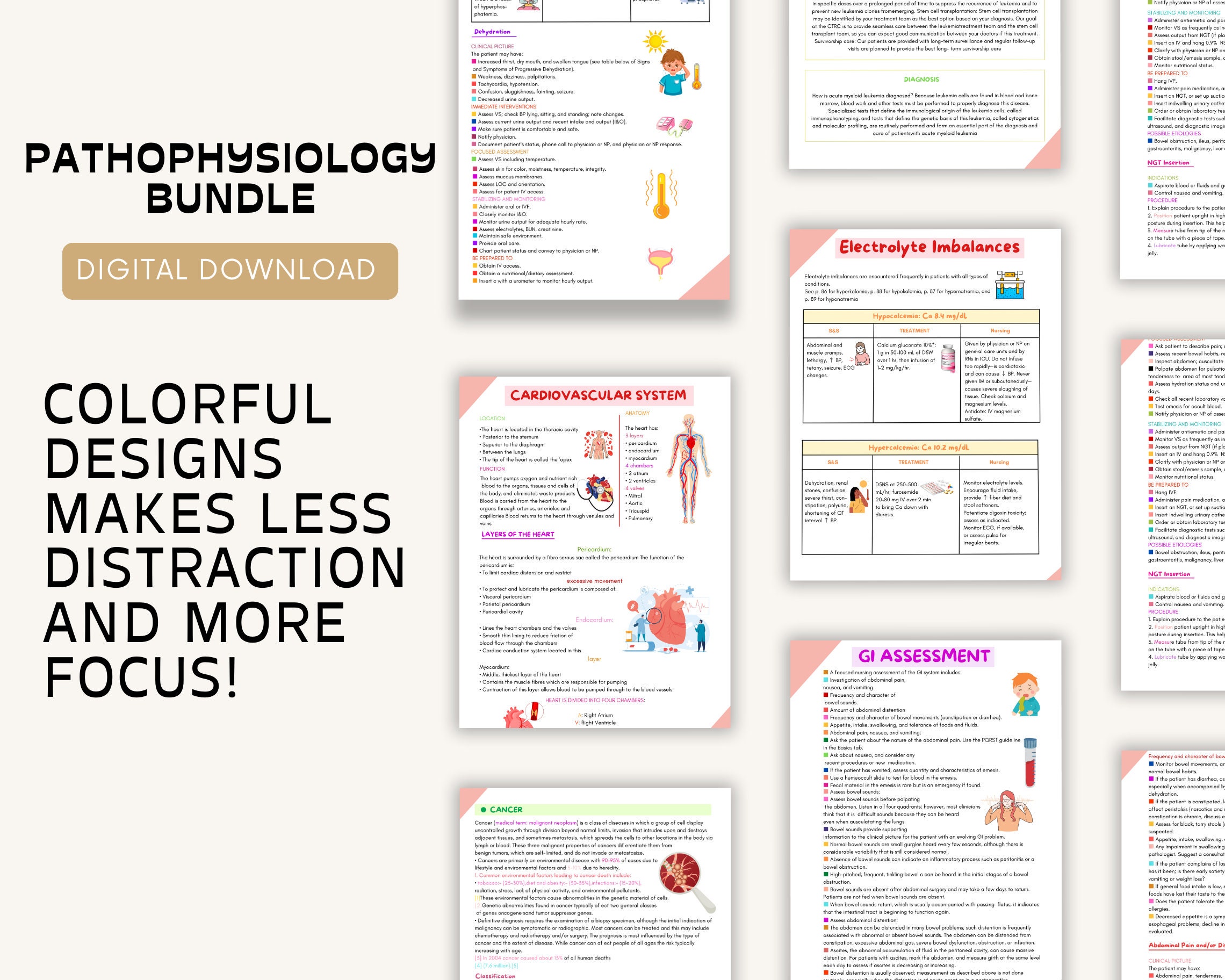 Pathophysiology Study Guide Bundle 70 Pages (Instant Download) - Etsy