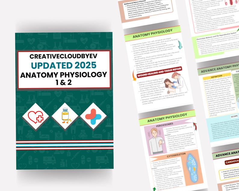 Complete Anatomy Physiology I & II 200 Pages, Anatomy Study Guide ...