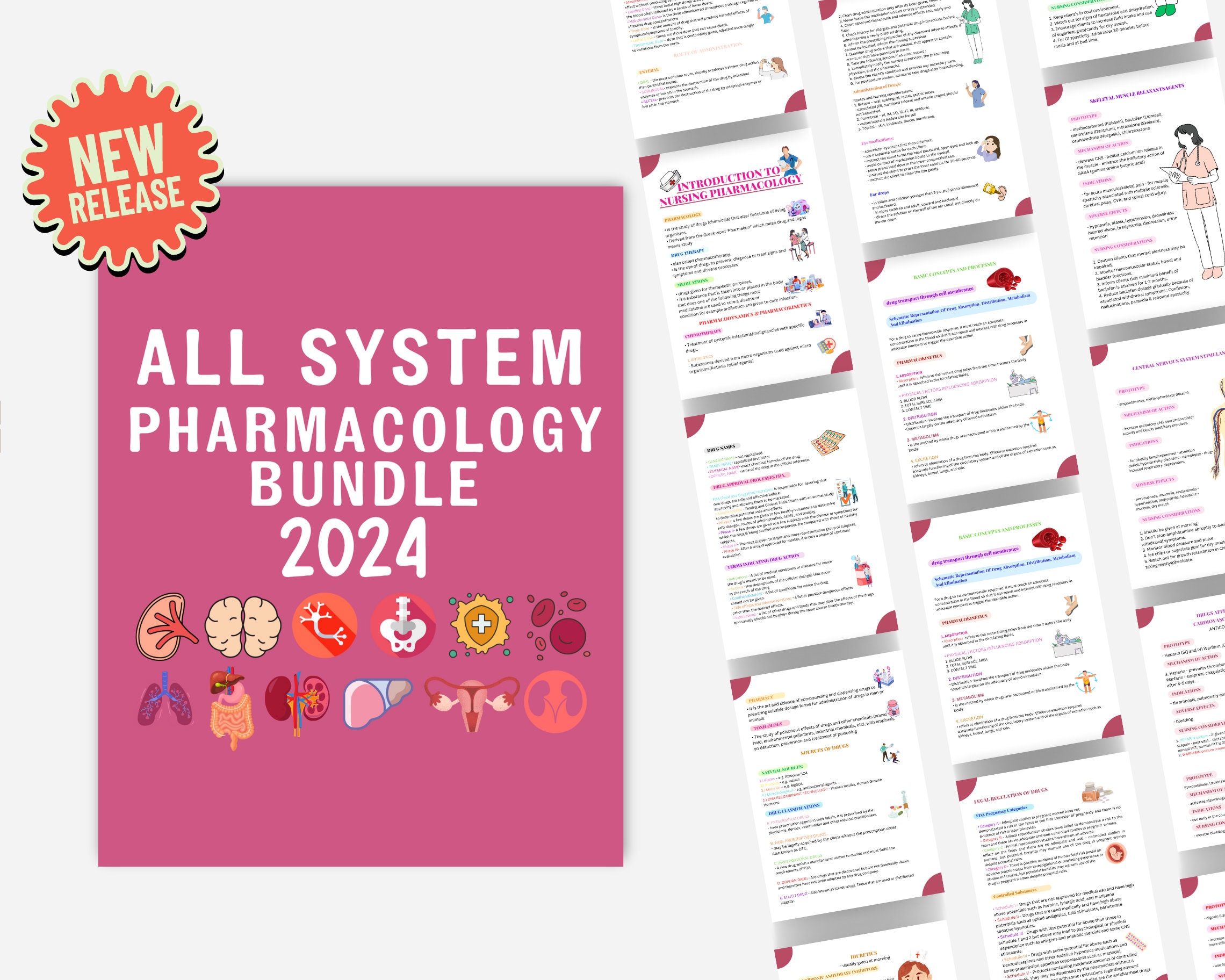 Pharmacology Study Guide Bundle 2024, Pharmacology Notes, Nursing Study ...