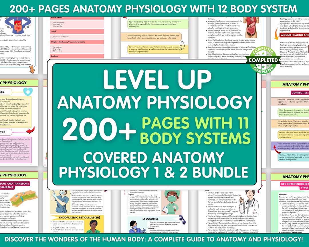 Complete Anatomy Physiology I & II 200+ Pages, Anatomy Study Guide ...
