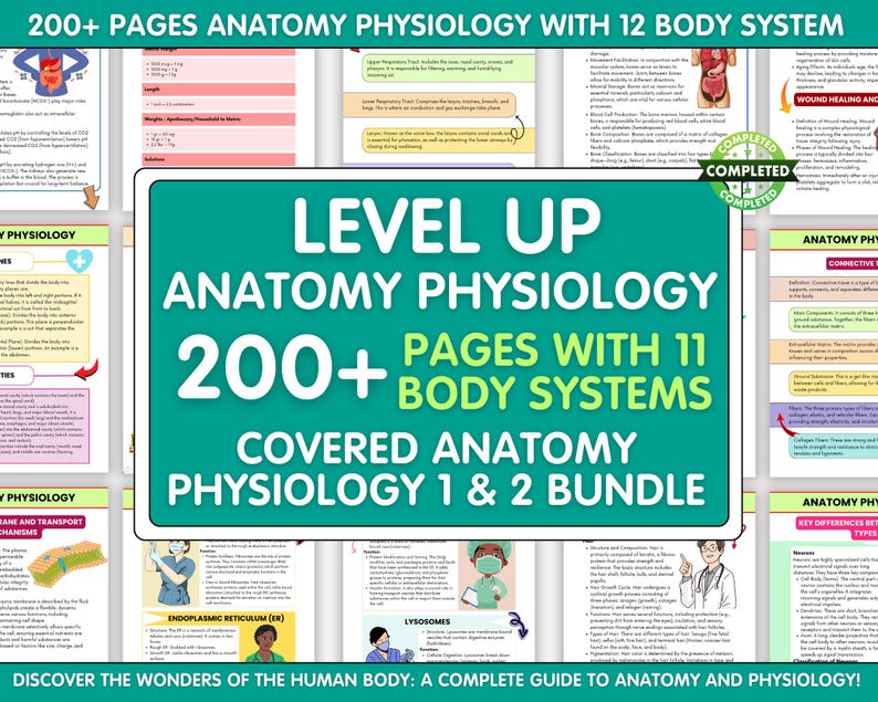 Complete Anatomy Physiology I & II 200+ Pages, Anatomy Study Guide, Anatomy Physiology 12 System ...