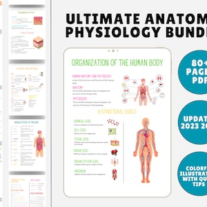 Complete Anatomy and Physiology Nursing 80+ Pages, Anatomy Study Guide ...