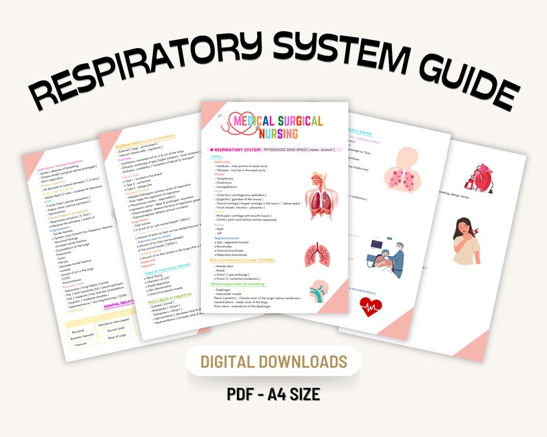 The Respiratory System Nursing Notes Nursing Bundle Anatomy - Etsy