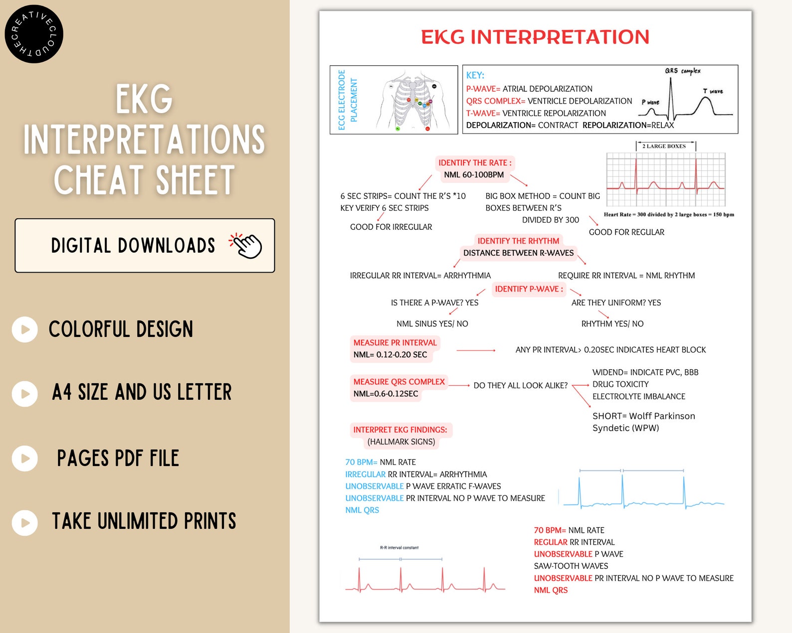 EKG Interpretation Cheat Sheet: Dysrhythmias, ECG Rhythm (digital ...