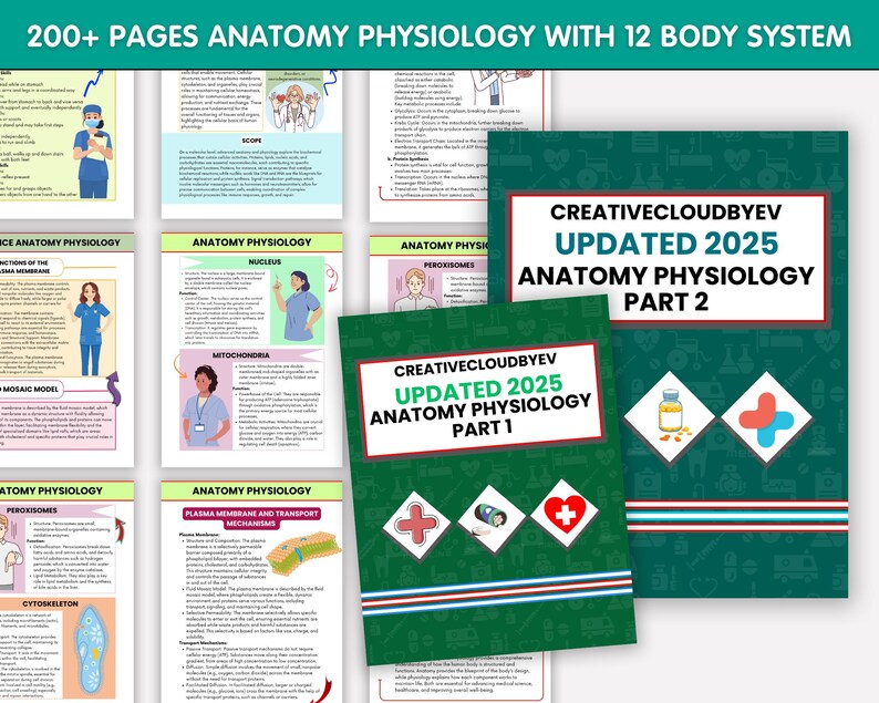 Anatomy Physiology I & II 200+ Pages MEGA BUNDLE, Anatomy Study Guide ...