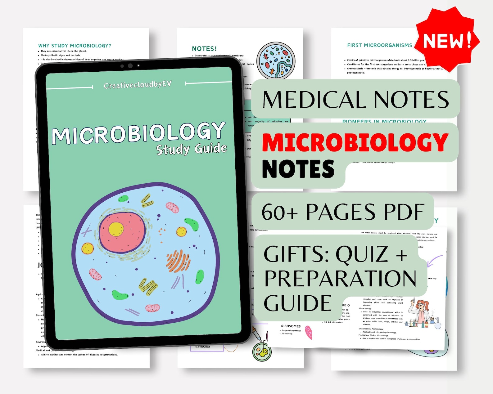 Microbiology Masterclass Cheat Sheet Bundle: Medical Student Study ...