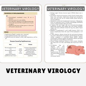 BEST SELLING 240 Pages Vet Tech Notes, Vet Med Study Guide, VTNE Prep ...