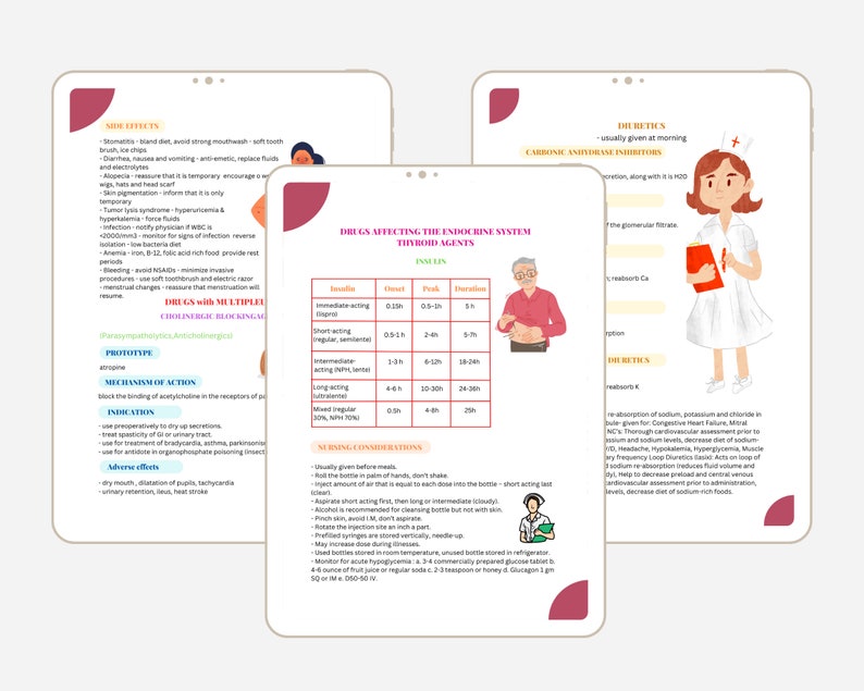Pharmacology Study Guide Bundle 2024, Pharmacology Notes, Nursing Study ...