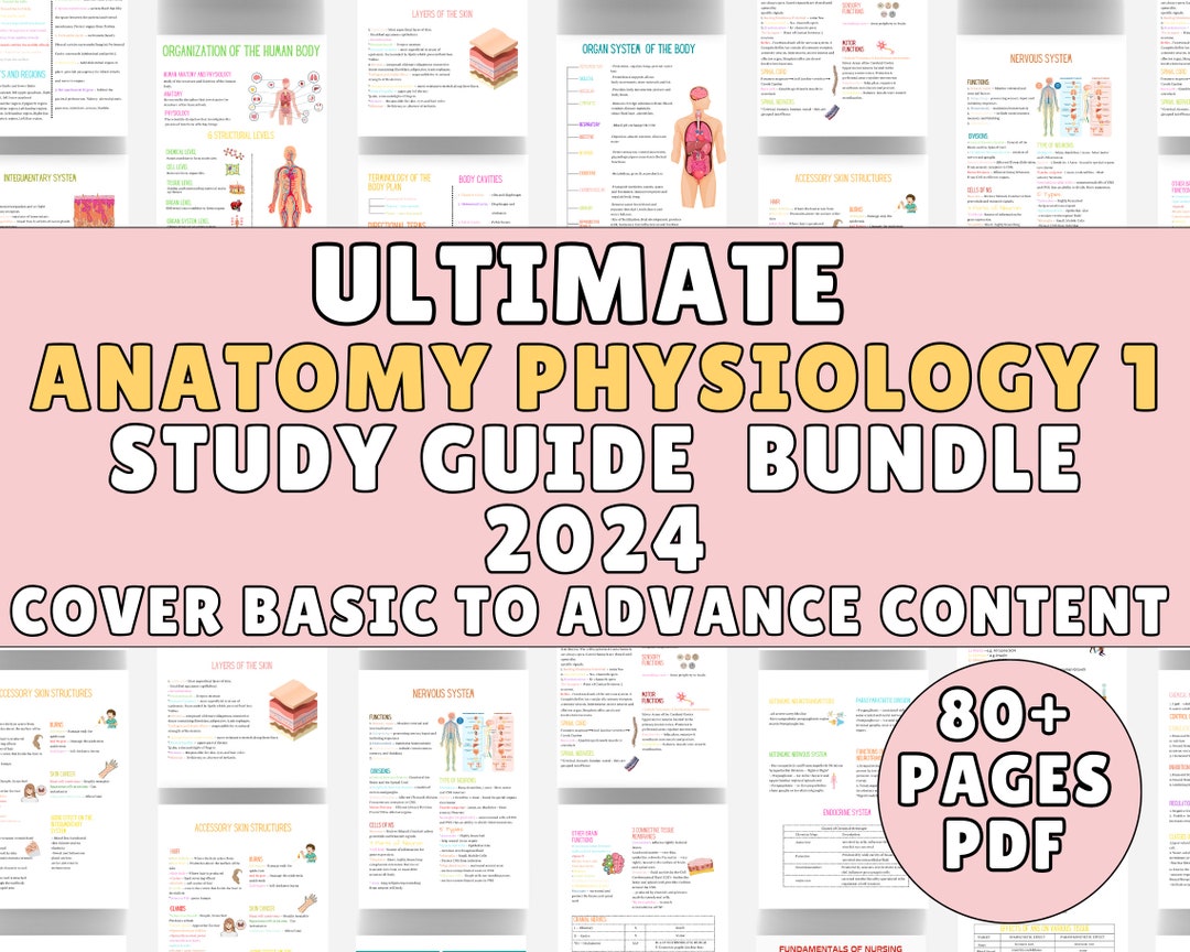 Anatomy and Physiology Study Guide: Nursing Notes Bundle (digital ...