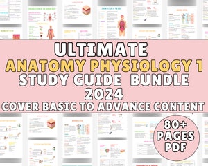 Intro to Anatomy Notes Physiology Biology Science Study Guide Outline ...