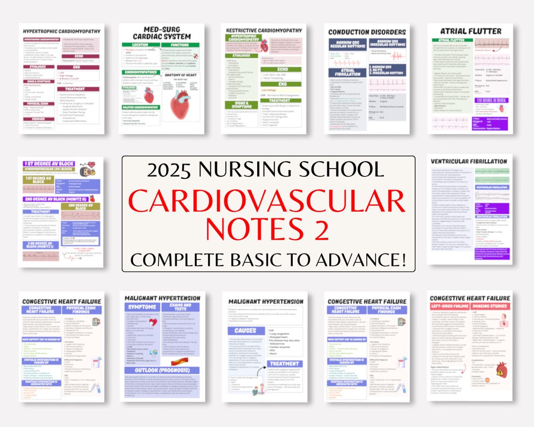 Cardiovascular System and Disorders 40 Pages, Cardiovascular ...