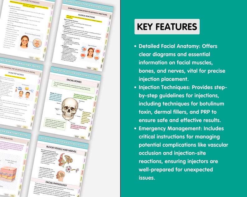 Facial Nurse Injector Anatomy Guide, Injection Techniques Hyperlinked ...