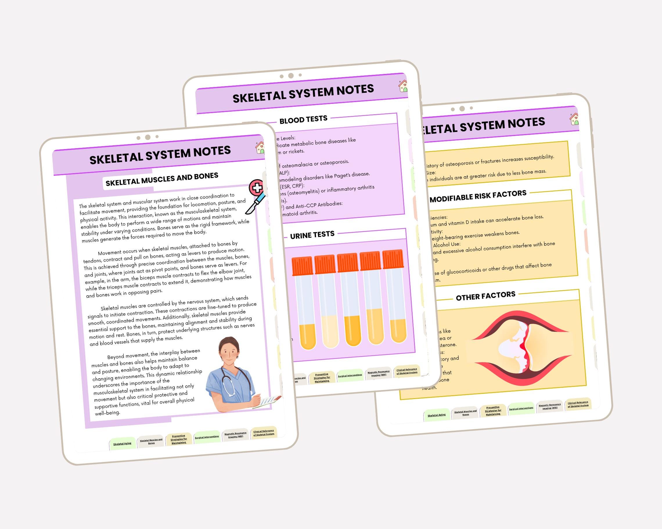 Skeletal System Anatomy Notes, Major Bones Diagrams, Cheat Sheet, 2026 ...