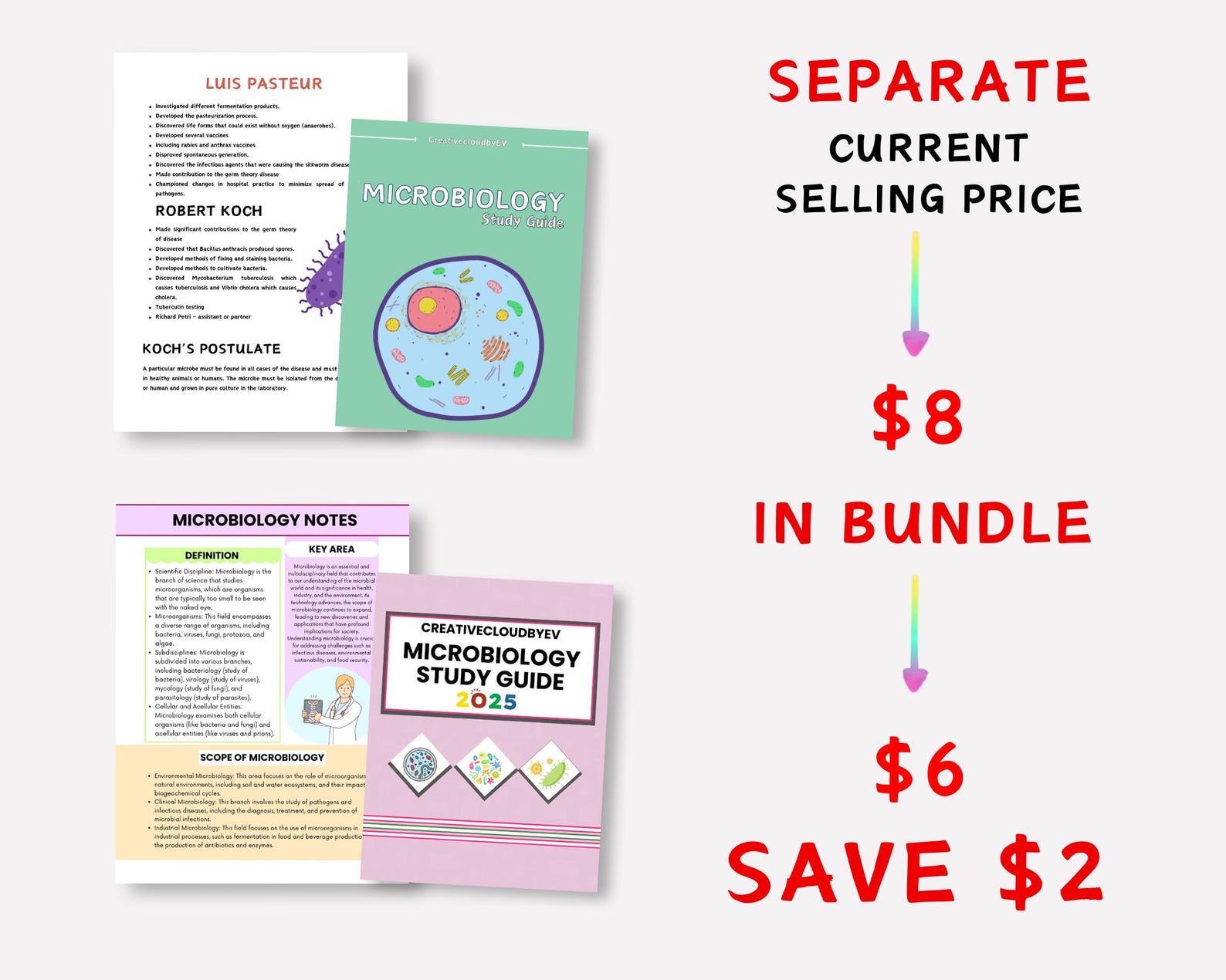 Microbiology Masterclass Cheat Sheet Bundle: Medical Student Study ...