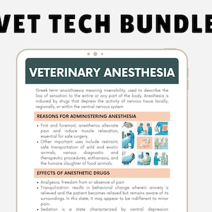 Vet Tech Notes Bundle: VTNE Prep, Vet Med Study Guide (digital Download ...