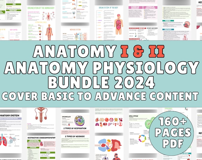 Bundle Anatomy Physiology Part 2 Study Kit With Practice Questions