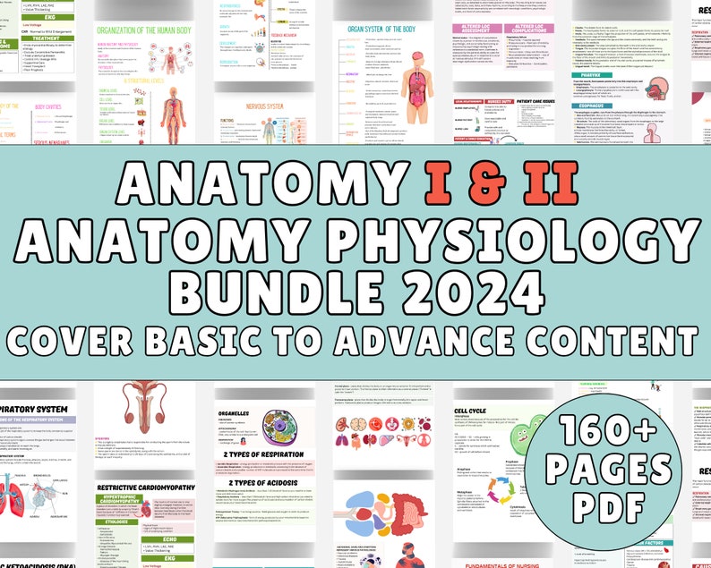 Anatomy Physiology Study Guide: Nursing Notes Bundle (PDF & PNG) - Etsy