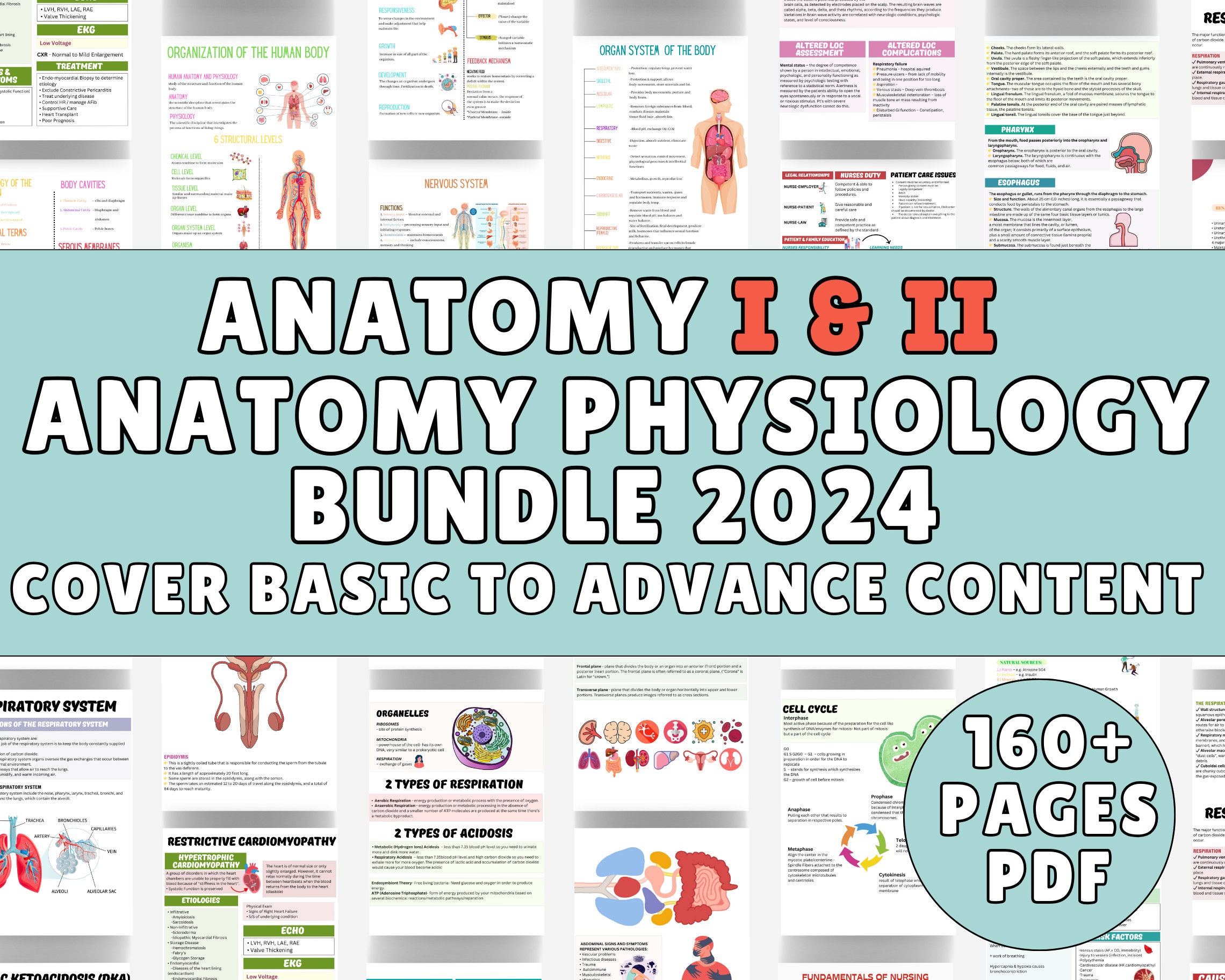Complete Anatomy Physiology I & II 160 Pages, Anatomy Study Guide ...