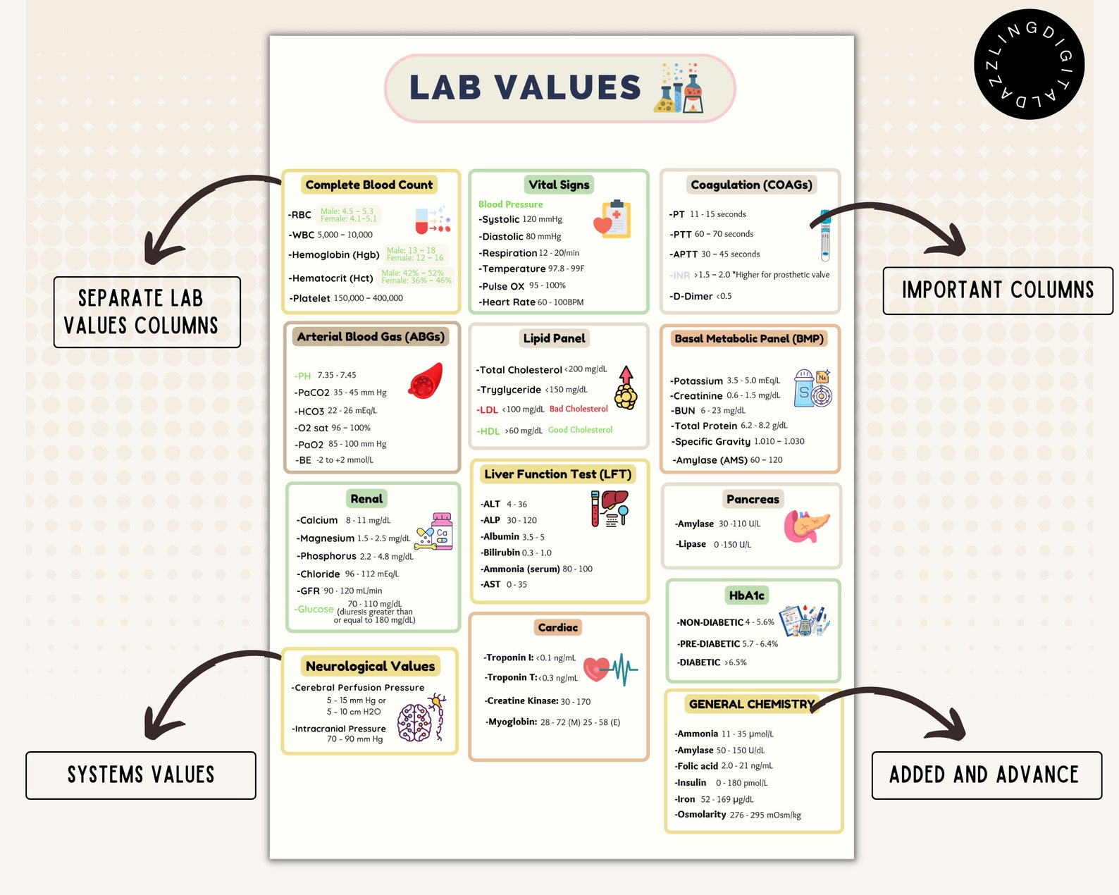 Lab Value Template - Nursing Cheat Sheet - Lab Values - Lab Value ...