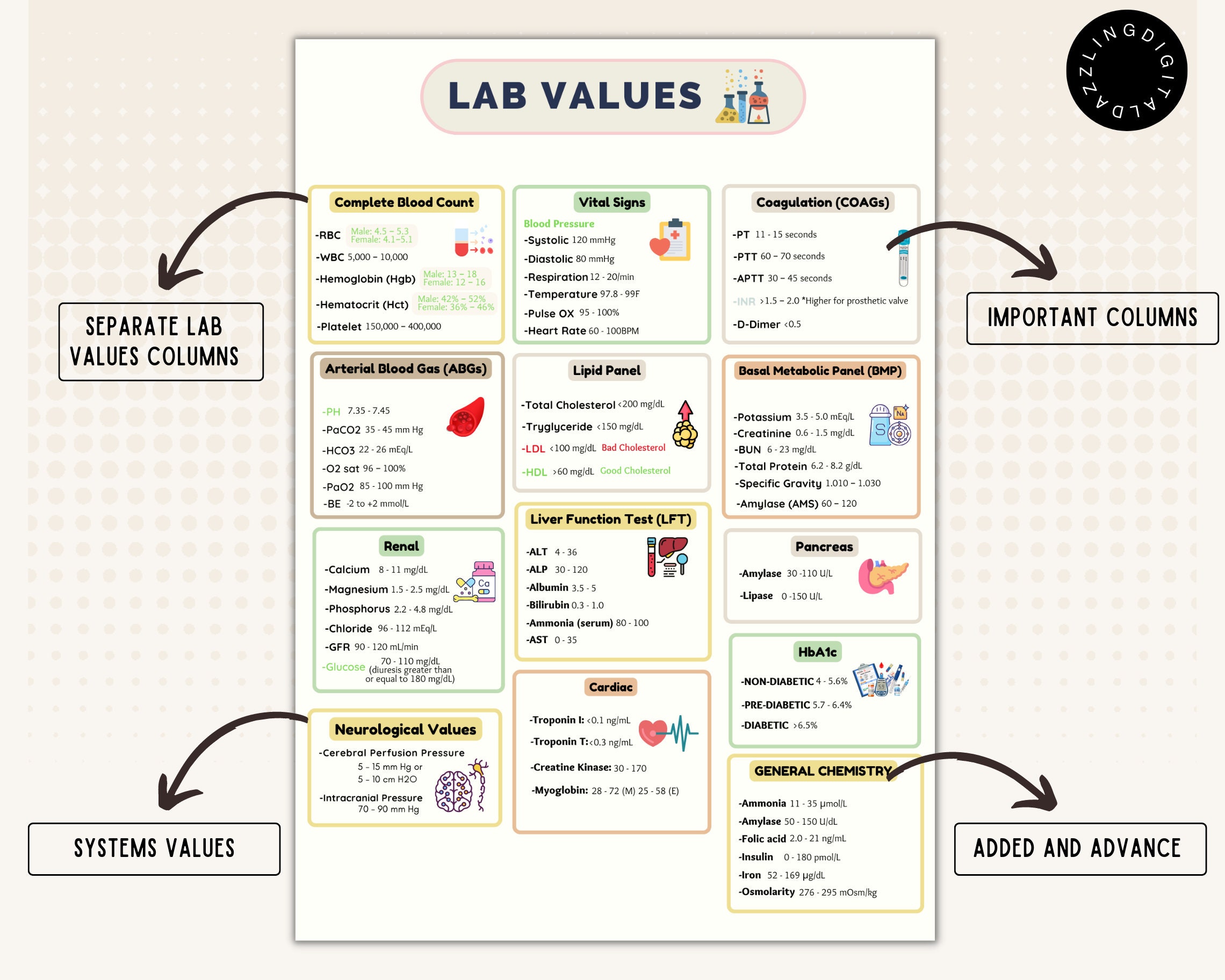 Lab Value Template - Nursing Cheat Sheet - Lab Values - Lab Value ...