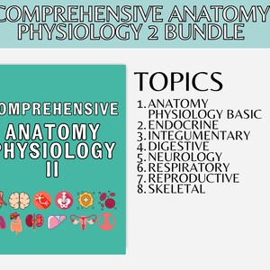 Anatomy Physiology Study Guide, Level I& II Nursing Notes Bundle, 2026 ...