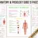 Anatomy and Physiology Nursing Anatomy Study Guide Anatomy - Etsy