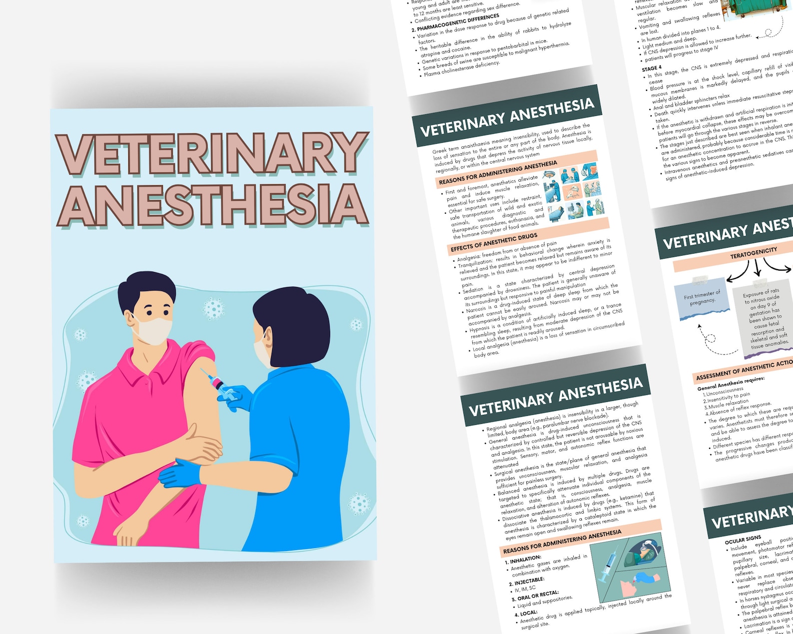 Veterinary Anesthesia Study Guide Vet Tech Notes Vet Nurse Anesthesia ...