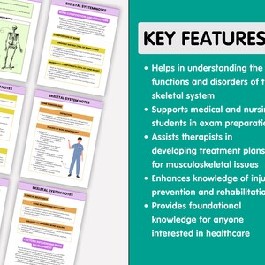 Skeletal System Notes 2025 Edition, 80+ Pages, Intro to Skeletal System ...