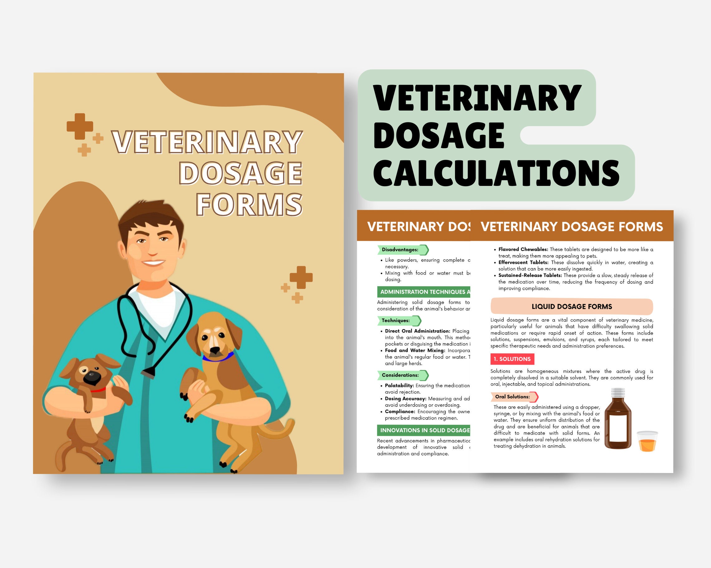Vet Tech Notes Bundle: VTNE Prep, Vet Med Study Guide (digital Download ...