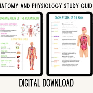 Anatomy and Physiology Nursing Anatomy Study Guide Anatomy Notes ...