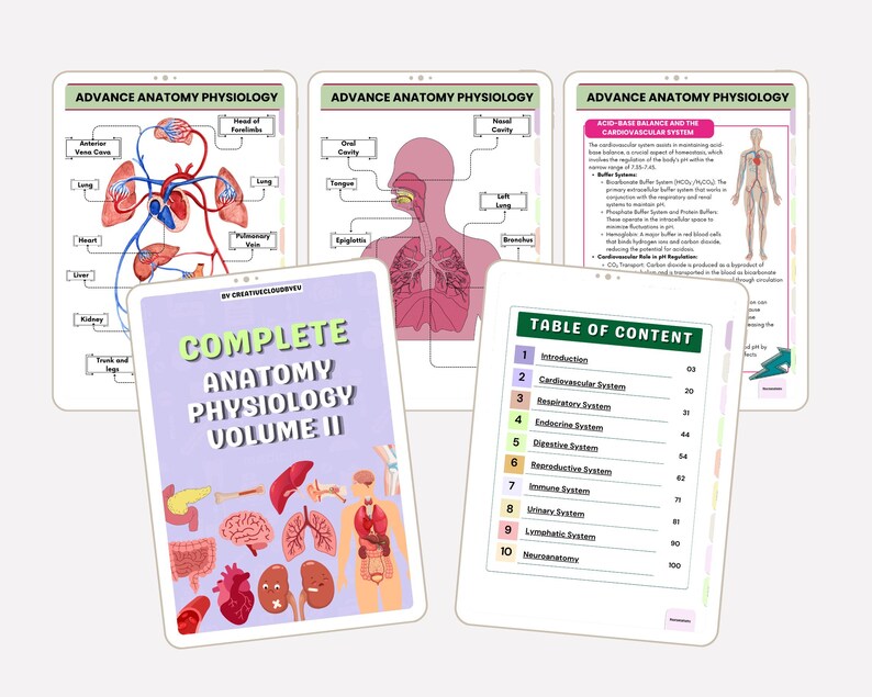 Anatomy and Physiology Study Guide Volume II: Hyperlinked, All Body ...