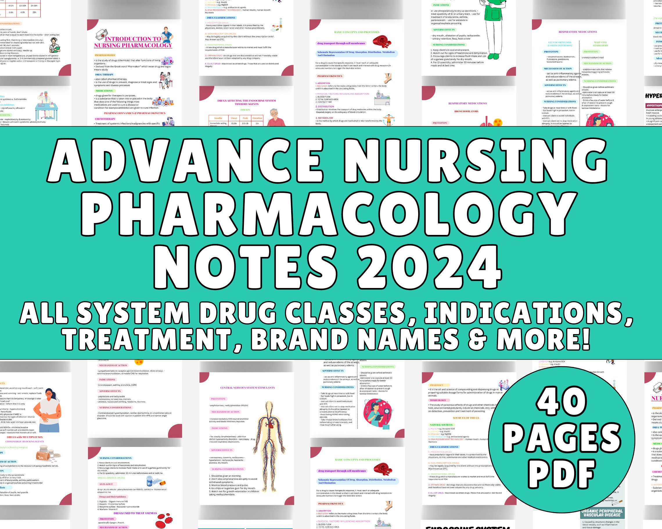 Pharmacology Study Guide Bundle 2024, Pharmacology Notes, Nursing Study ...
