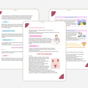 Pharmacology Study Guide Bundle 2024, Pharmacology Notes, Nursing Study ...