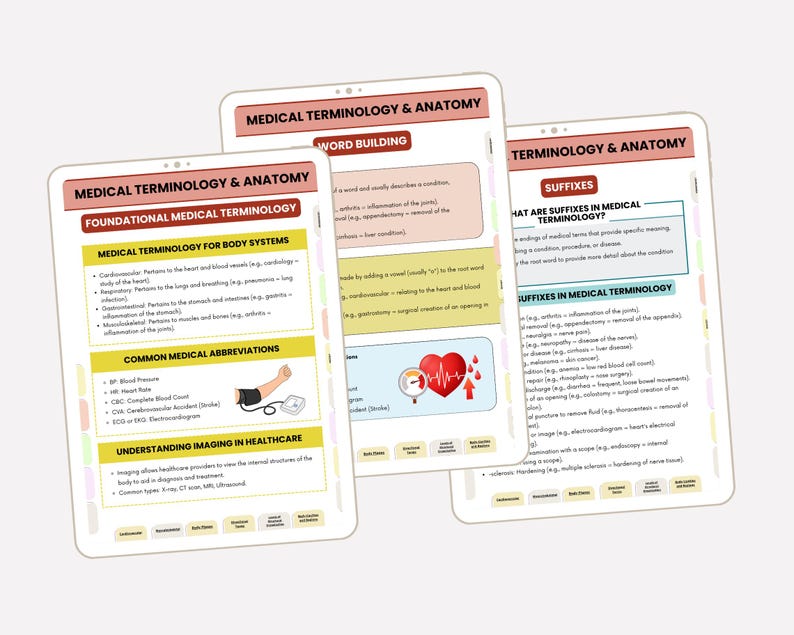 Medical Terminology & Anatomy Study Guide, 30+ Topics, 175+ Pages, 2026 ...