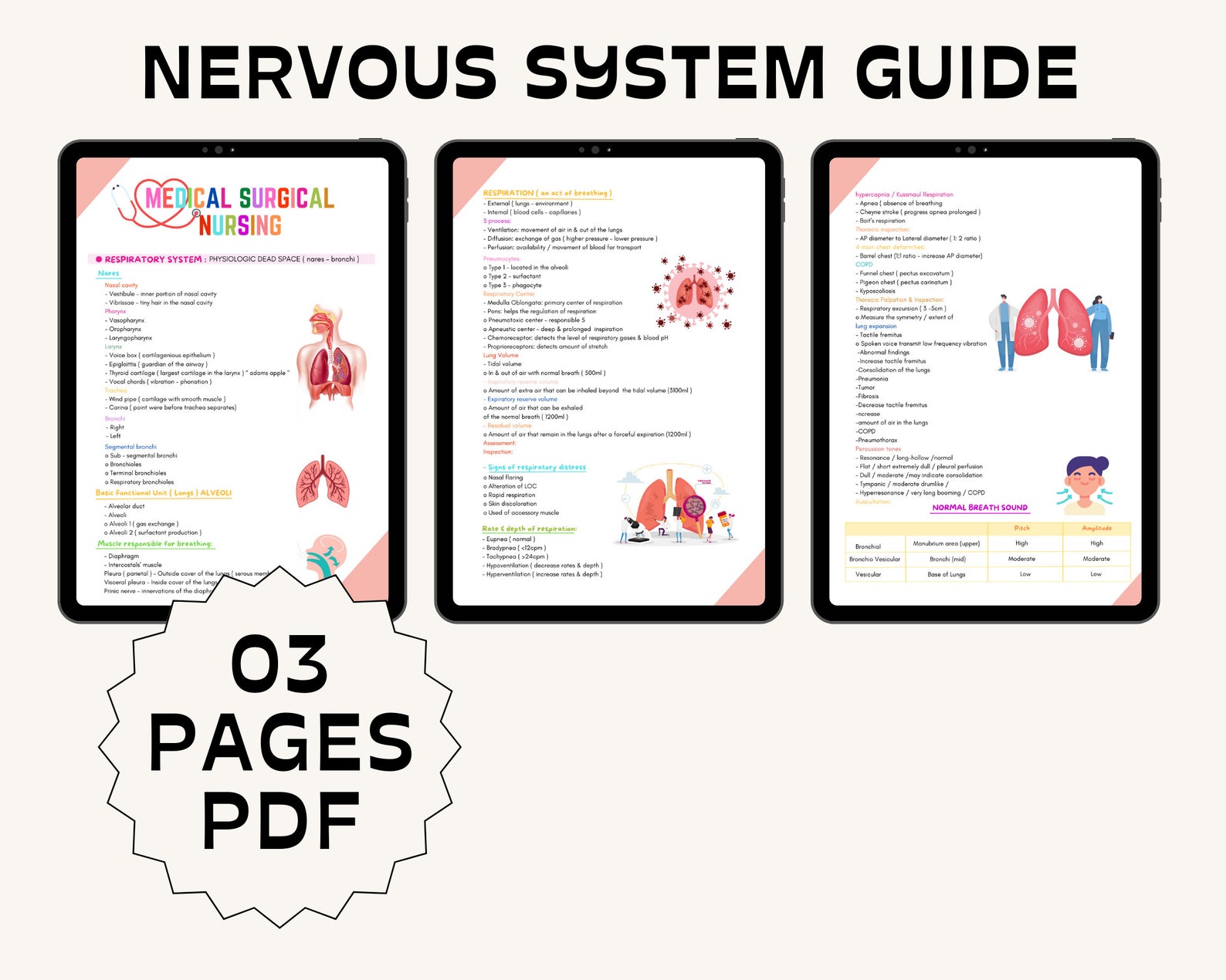 Nervous System Notes, Nursing Bundle, Nursing Notes, Med Surg Study ...