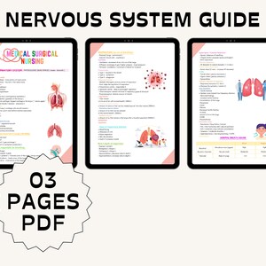 Nervous System Notes, Nursing Bundle, Nursing Notes, Med Surg Study ...