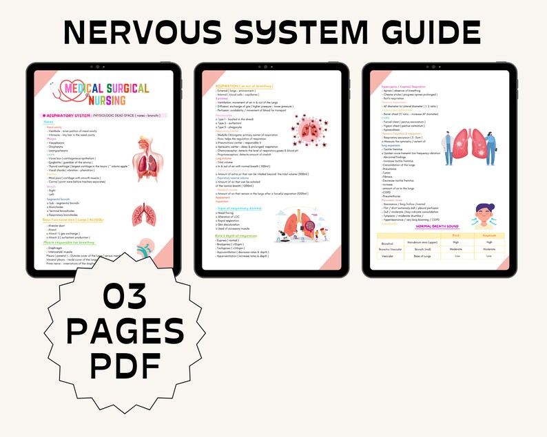 Nervous System Notes, Nursing Bundle, Nursing Notes, Med Surg Study ...