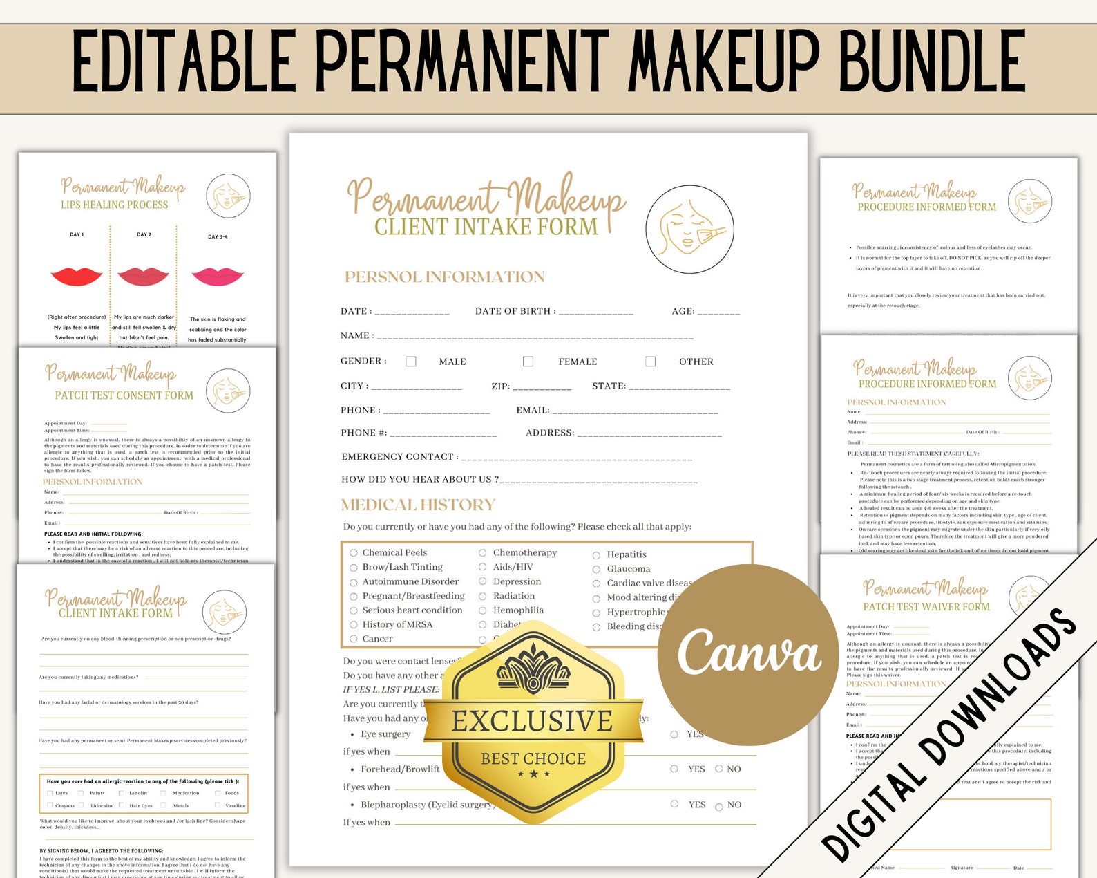 Editable Permanent Makeup Bundle Esthetician Forms Microblading Forms ...