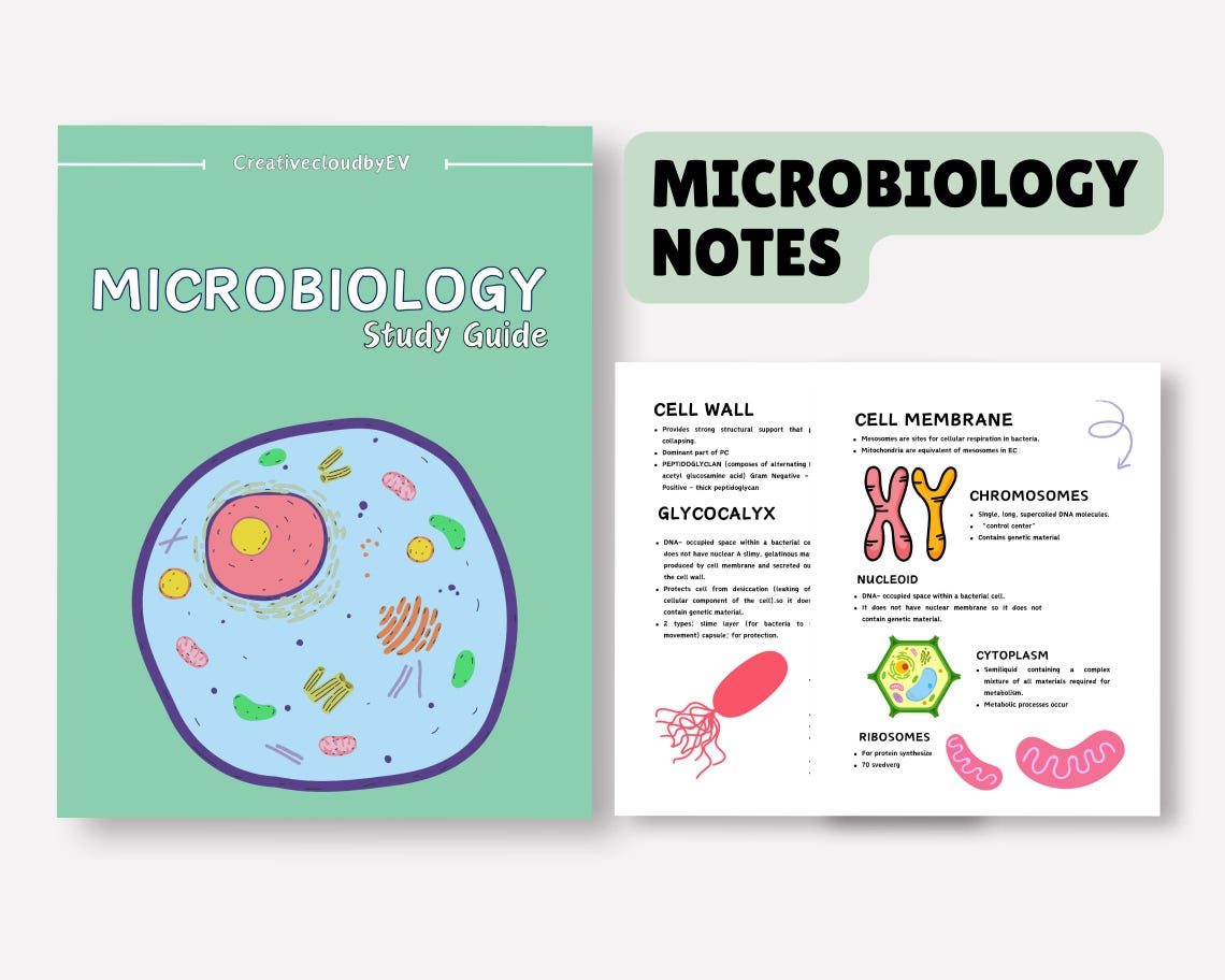 Microbiology Masterclass Cheat Sheet Bundle: Medical Student Study ...