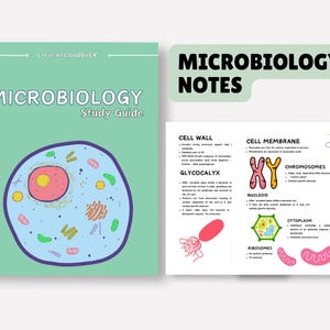 Microbiology Masterclass Cheat Sheet Bundle: Medical Student Study ...
