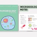 Microbiology Masterclass Cheat Sheet Bundle: Medical Student Study ...