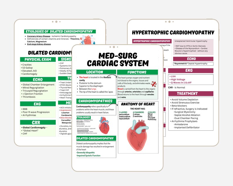 Cardiovascular System and Disorders 40 Pages, Cardiovascular ...