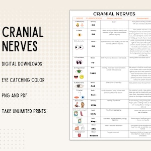 Cranial Nerves Chart: Nursing Student Study Guide (PDF & PNG) - Etsy