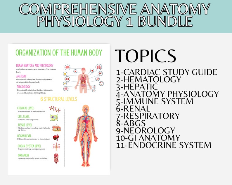 Anatomy Physiology Study Guide: Nursing Notes Bundle (PDF & PNG) - Etsy