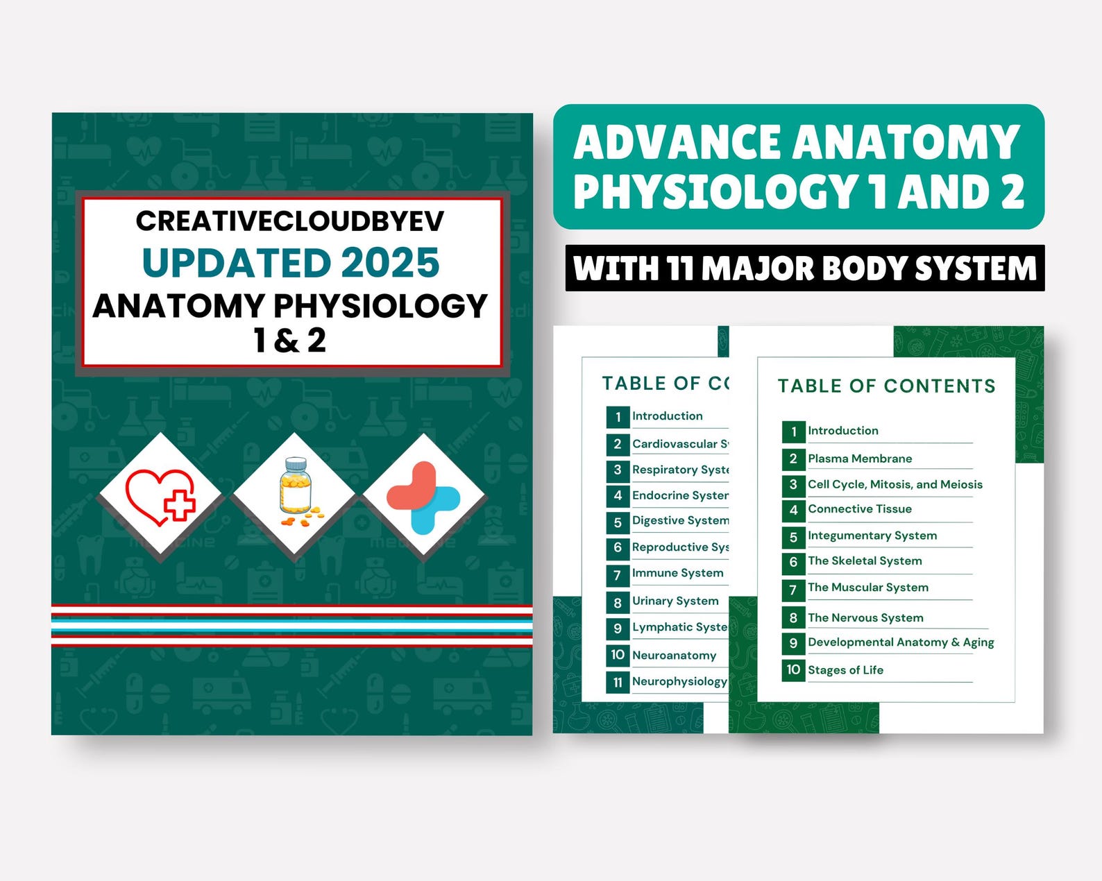Complete Anatomy Physiology I & II 200 Pages, Anatomy Study Guide ...