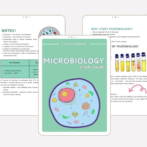 Microbiology Masterclass Cheat Sheet Bundle: Medical Student Study ...