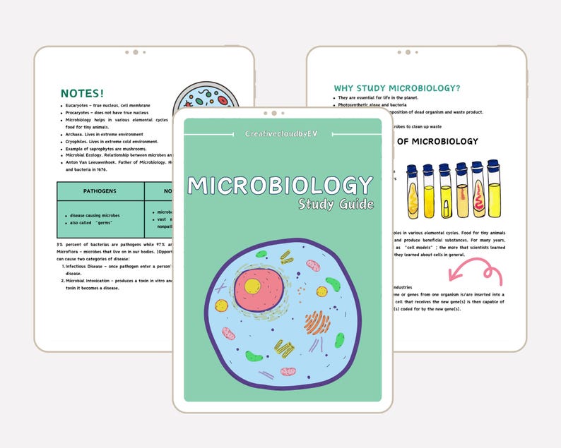 Microbiology Masterclass Cheat Sheet Bundle: Medical Student Study ...