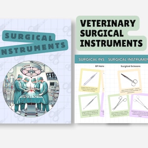 Vet Tech Notes Bundle: VTNE Prep, Vet Med Study Guide (digital Download ...