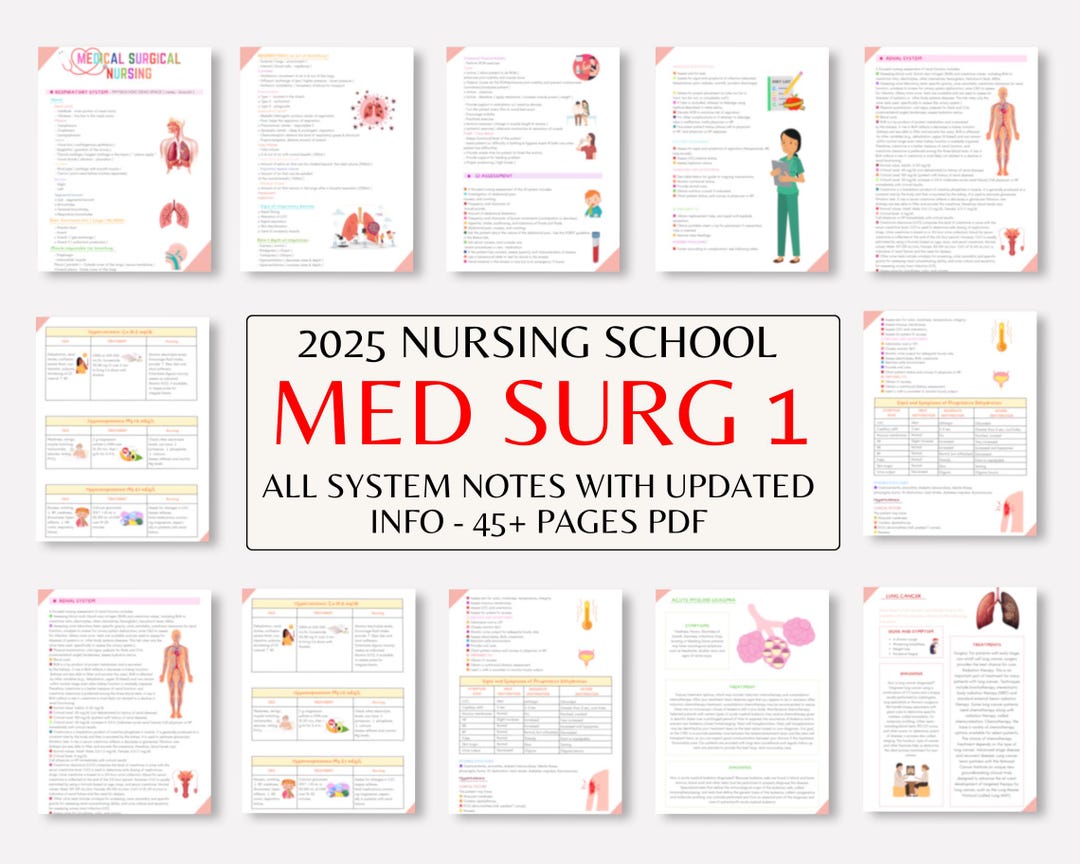 Med-surg Study Bundle 2024, Nursing Study Guide, Med Surg Notes ...
